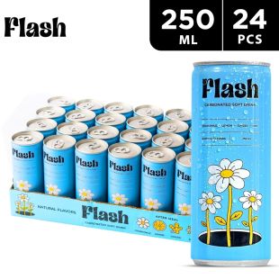 Flash Mix Natural Flavor Soft Drink 24 x 250ml